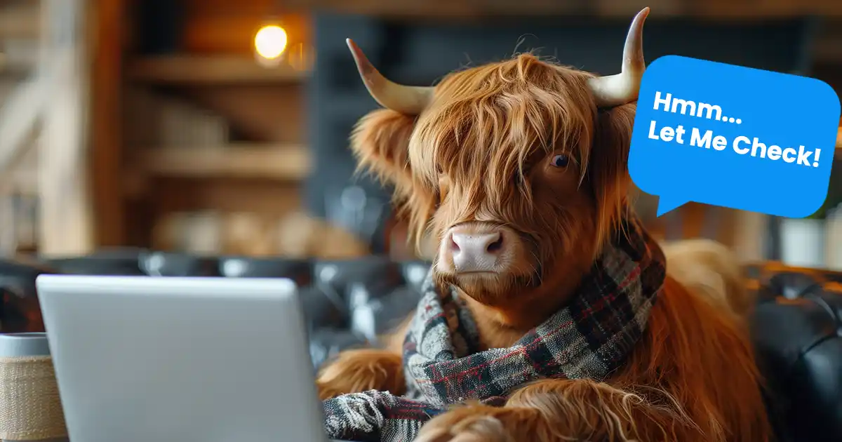 What Is Your Highland Cow Name? Find Out Now.