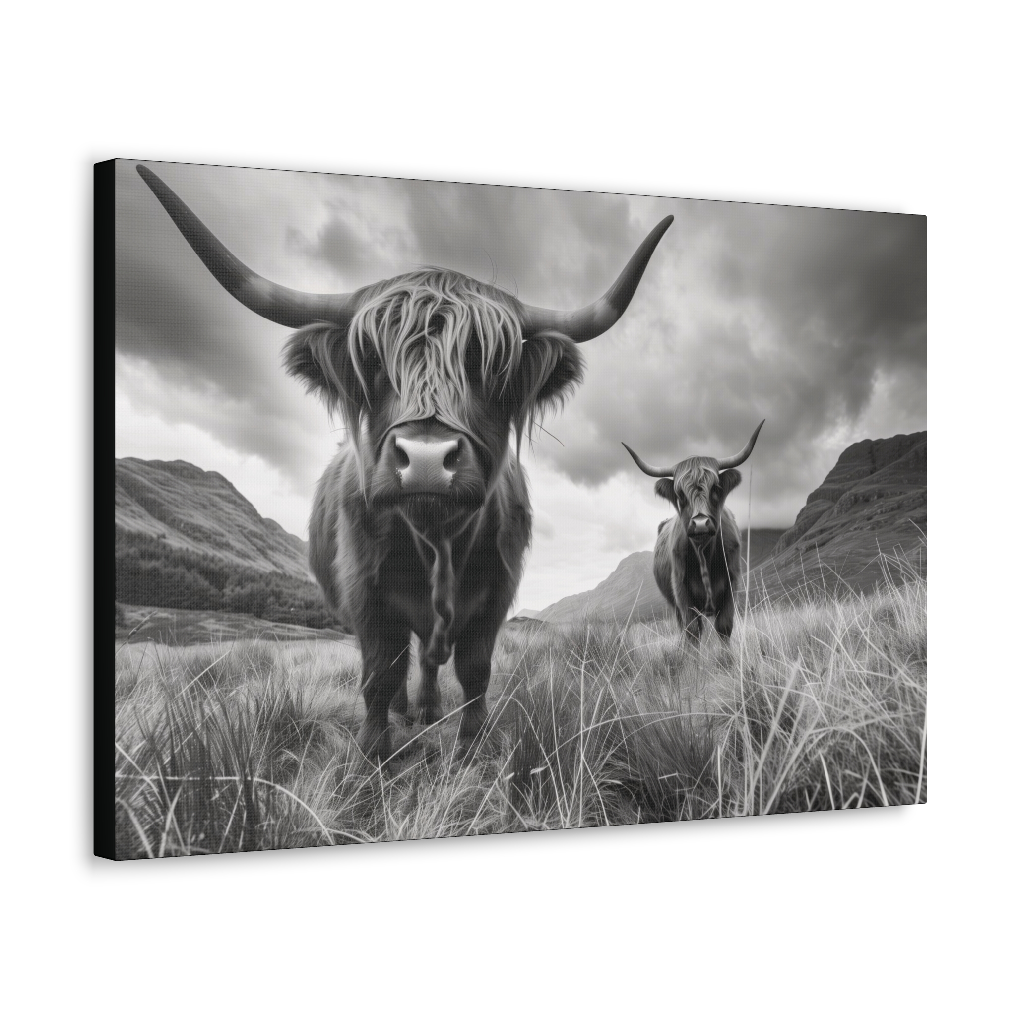 Highland Cow Wall Art, Prints, Canvas, & Framed Art By HCows