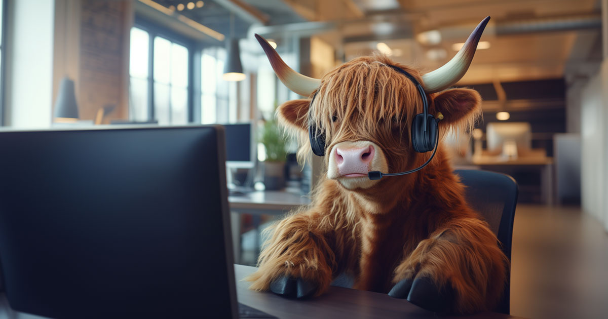 Contact HCows - HCows